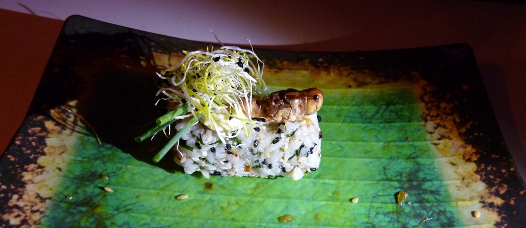 Insecten eten bij Aziatische bar en restaurant LE:EN in Utrecht ...