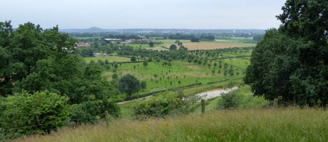 Wandelen langs grotten en groeves bij Bemelen - Reisblog Davides
